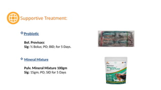 Rationale of Treatment of Thiamine Deficiency .pptx