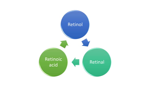 Retinoids | PPTX