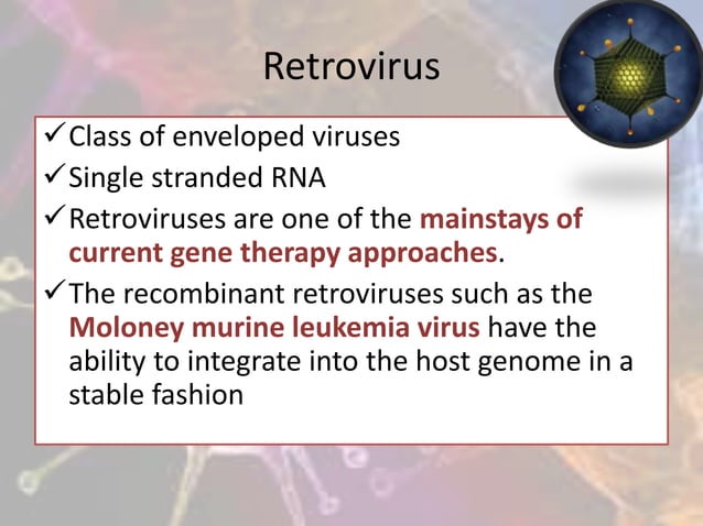 Retroviral Vectors | PPTX | Genetics | Science
