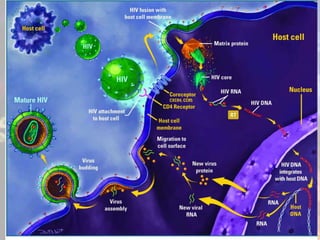 Retroviral Vectors | PPTX