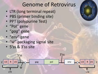 Retroviral Vectors | PPTX