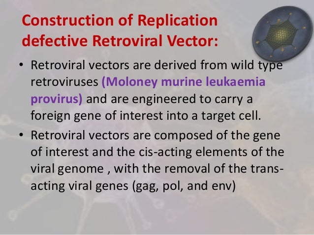Mmlv Retroviral Vector | semashow.com