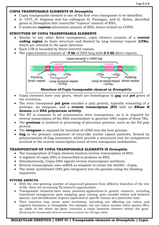 Retro copia transposons | PDF