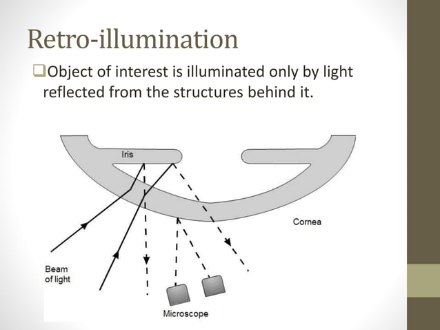 Retro illumination | PPTX