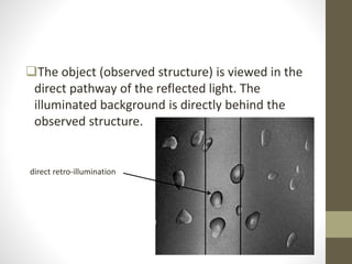 Retro illumination | PPTX