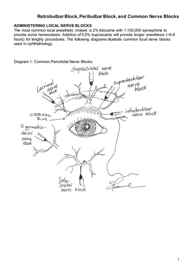 Retrobulbar block | DOC | First Aid | Injuries
