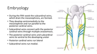 Retrocaval Ureter Urology Anatomy and Management | PPTX