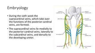 Retrocaval Ureter Urology Anatomy and Management | PPTX