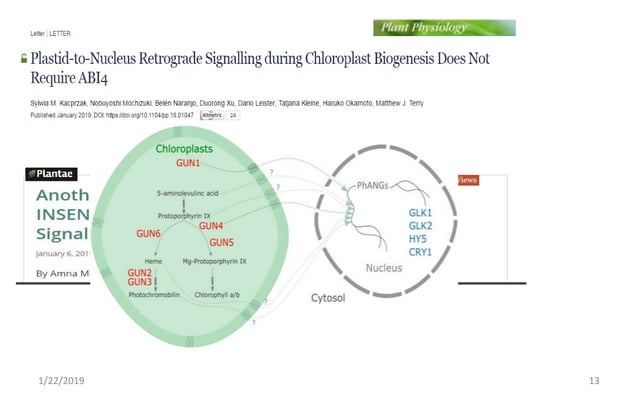 Retrograde signalling | PPT