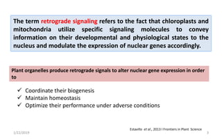 Retrograde signalling | PPT