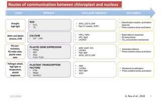 Retrograde signalling | PPT