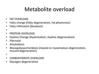 RETROGRESSIVE CHANGES.pptx