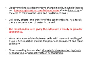 RETROGRESSIVE CHANGES.pptx