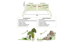 RETROGRESSIVE CHANGES, CONCEPT OF CLIMAX COMMUNITIES AND RESILIENCE OF ...