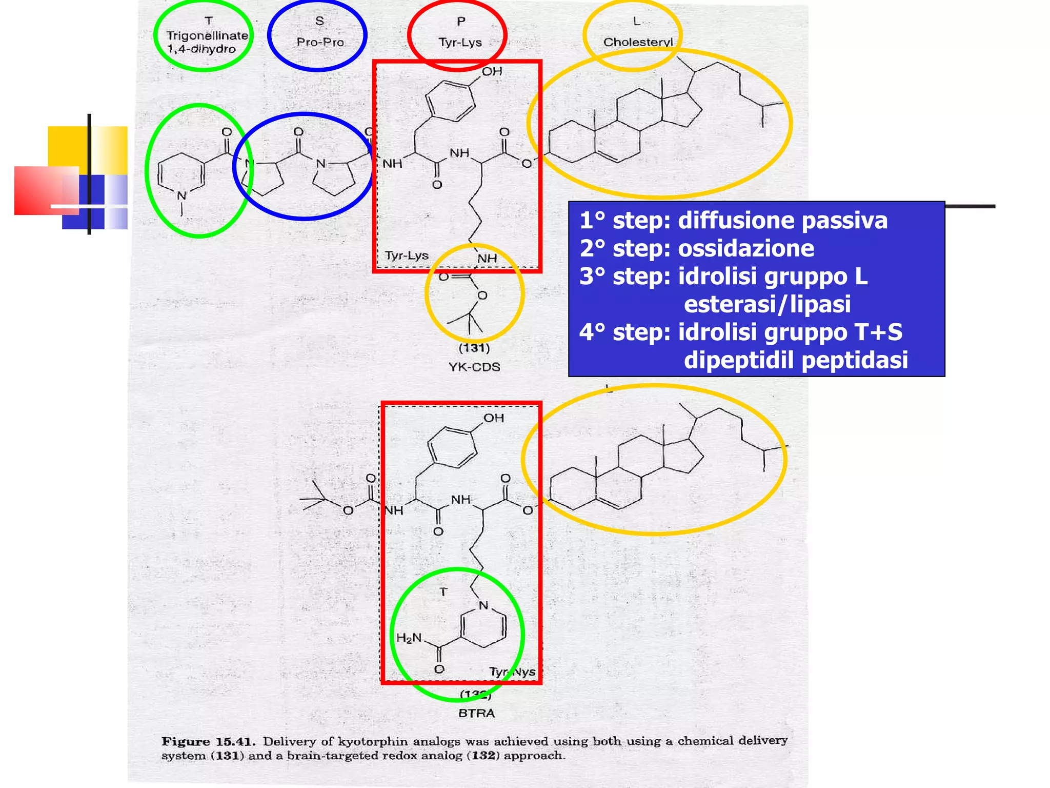 Retrometabolic drug design | PPT