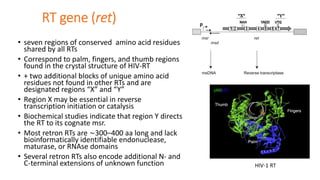 retron bacteriaaaaaaaaaaaaaaaaaaaaaaaaaa | PDF