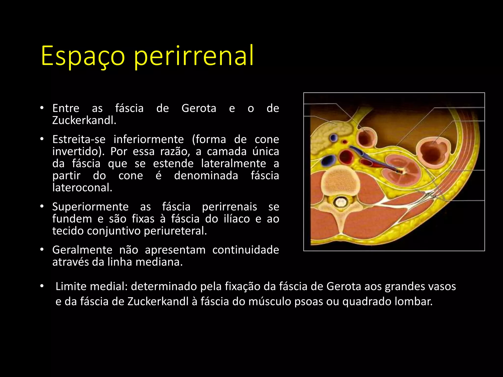 Ultrassom do Retroperitônio e Peritônio | PPTX