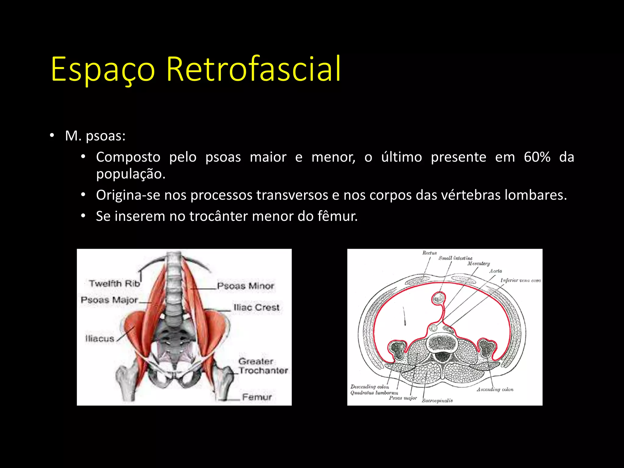 Ultrassom do Retroperitônio e Peritônio | PPT