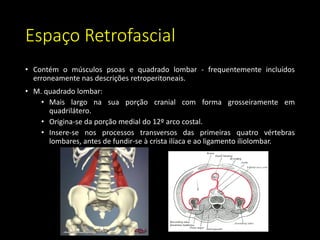 Ultrassom do Retroperitônio e Peritônio | PPTX
