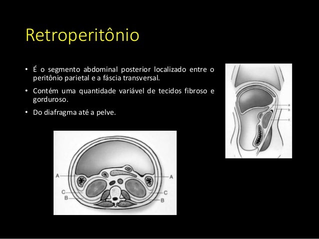 Retroperitônio: O Que É, Anatomia E Mais! – TQPDL