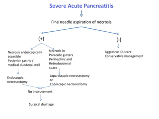 Retroperitoneal endoscopic necrosectomy | PPT