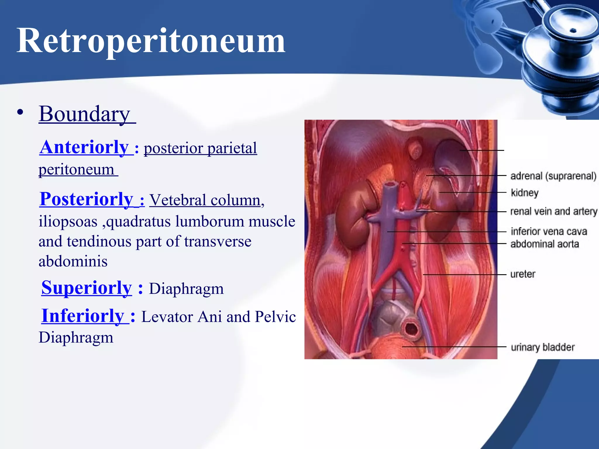Retroperitoneal mass | PPT