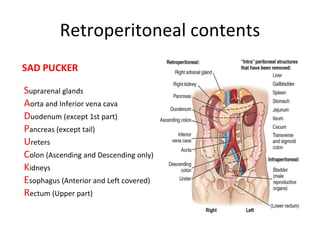 Retroperitoneal mass.pptx