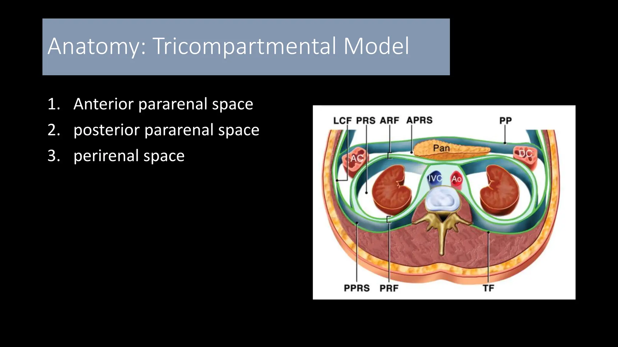 retroperitoneal mass and retroperitoneal anatomy | PPTX | Blood ...