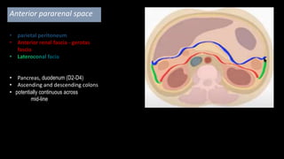 retroperitoneal mass and retroperitoneal anatomy | PPTX | Blood ...