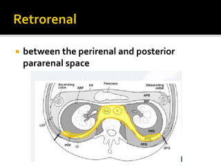 Retroperitoneal space | PPTX