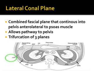 Retroperitoneal space | PPTX