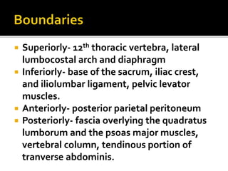 Retroperitoneal space | PPTX