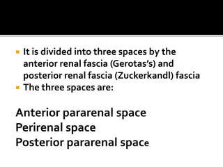 Retroperitoneal space | PPTX