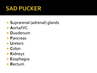 Retroperitoneal Organs List