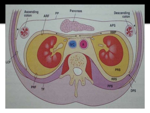 Retroperitoneal space