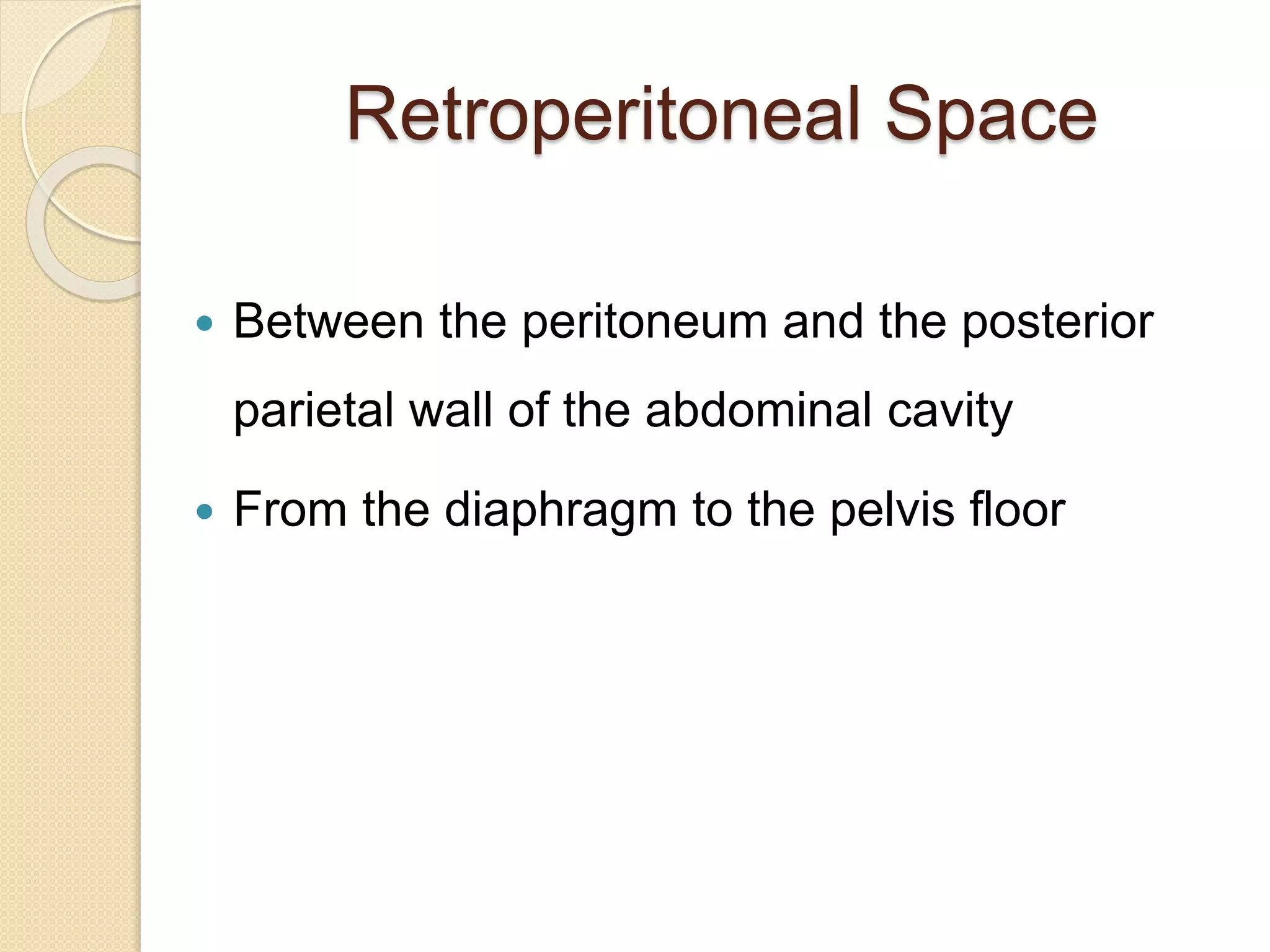 Retroperitoneal Space of the Kidney.pptx | Endocrine and Metabolic ...