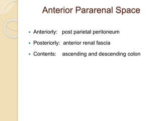 Retroperitoneal Space of the Kidney.pptx | Endocrine and Metabolic ...