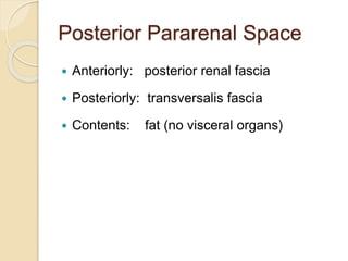 Retroperitoneal Space of the Kidney.pptx | Endocrine and Metabolic ...