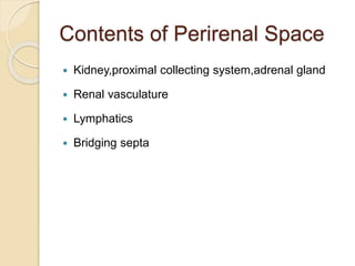 Retroperitoneal Space of the Kidney.pptx | Endocrine and Metabolic ...