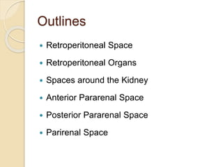 Retroperitoneal Space of the Kidney.pptx | Endocrine and Metabolic ...