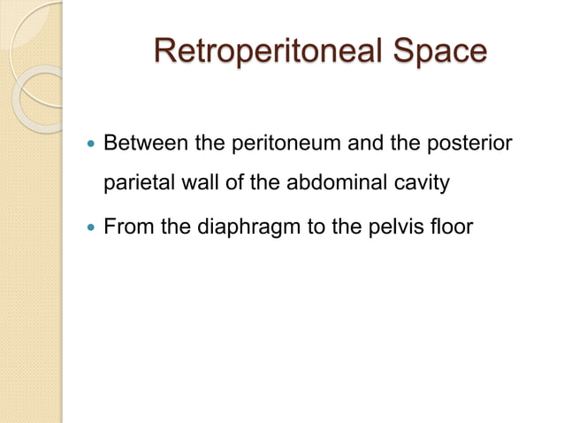 Retroperitoneal Space of the Kidney.pptx | Endocrine and Metabolic ...