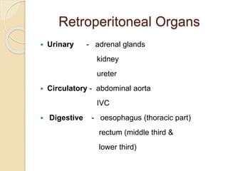 Retroperitoneal Space of the Kidney.pptx