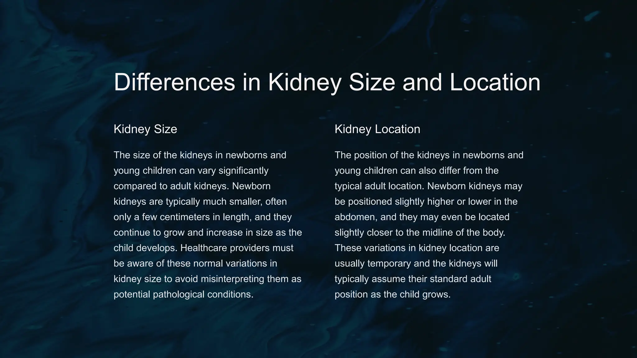 Clinical anatomy of the retroperitoneal space. Vessels and nerves of ...