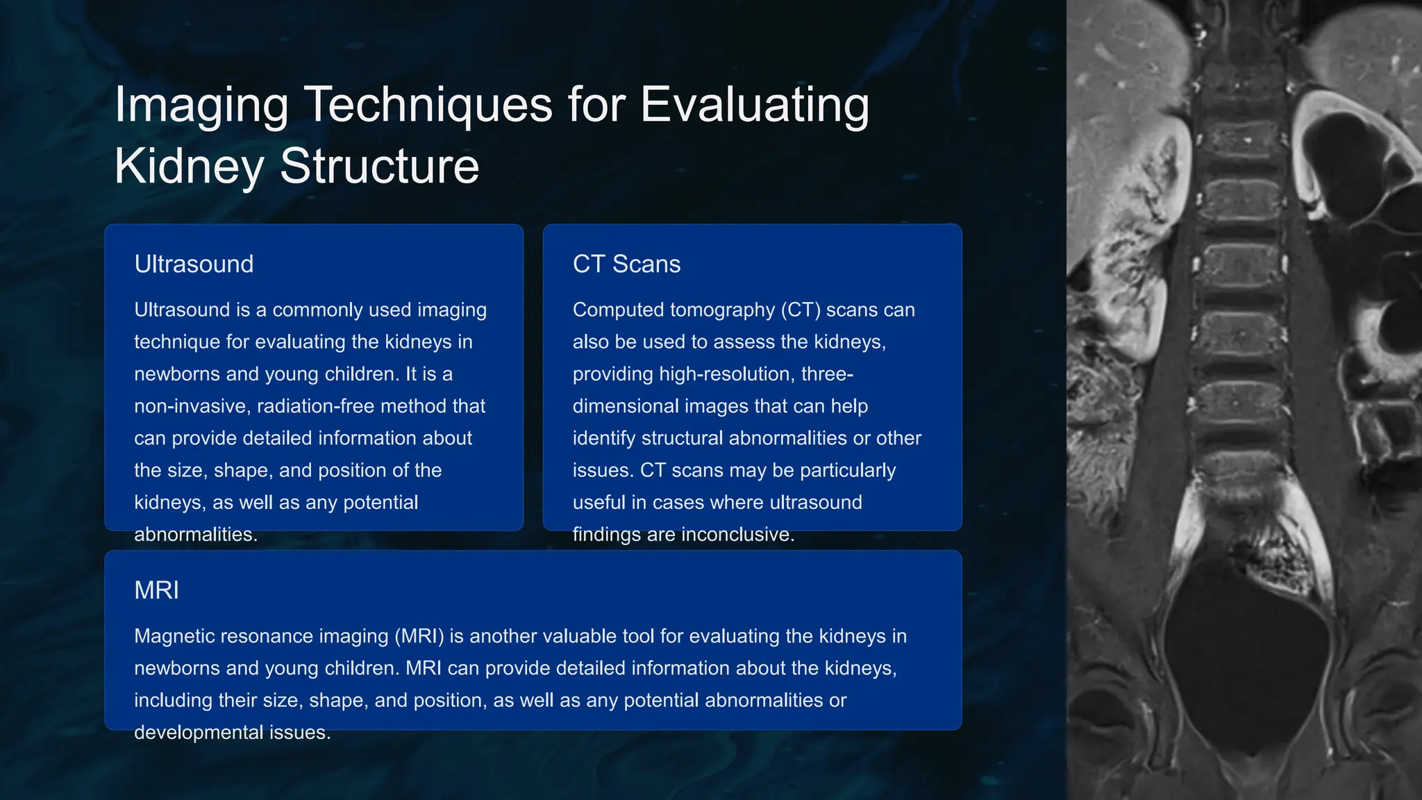 Clinical anatomy of the retroperitoneal space. Vessels and nerves of ...