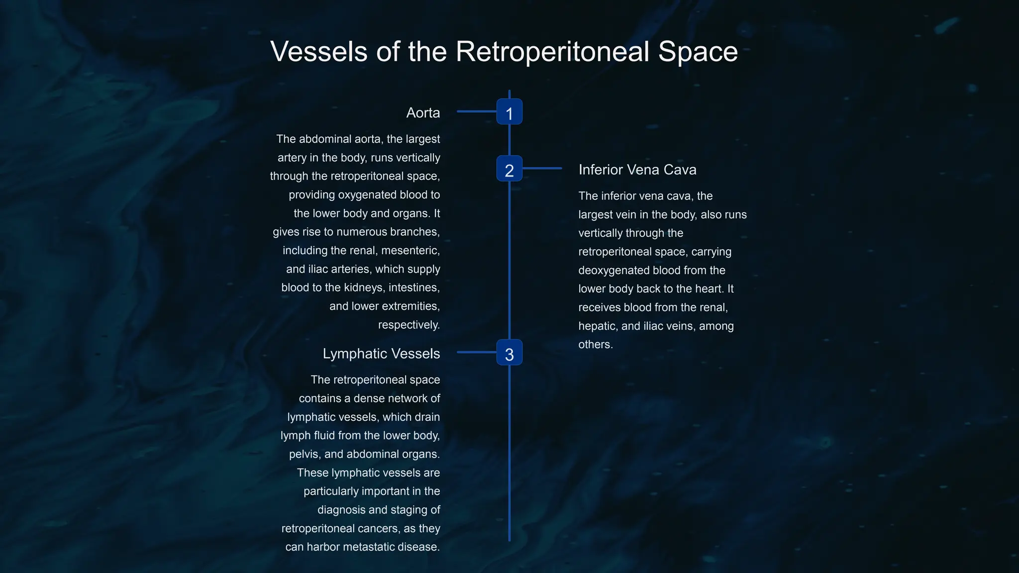 Clinical anatomy of the retroperitoneal space. Vessels and nerves of ...