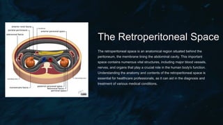 Clinical anatomy of the retroperitoneal space. Vessels and nerves of ...