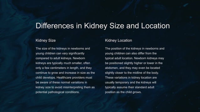 Clinical anatomy of the retroperitoneal space. Vessels and nerves of ...
