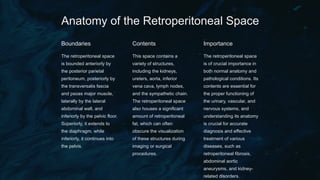 Clinical anatomy of the retroperitoneal space. Vessels and nerves of ...