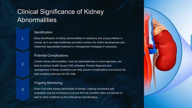 Clinical anatomy of the retroperitoneal space. Vessels and nerves of ...