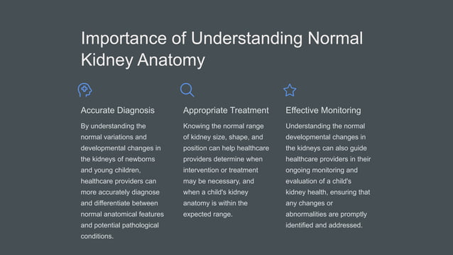 Clinical anatomy of the retroperitoneal space. Vessels and nerves of ...